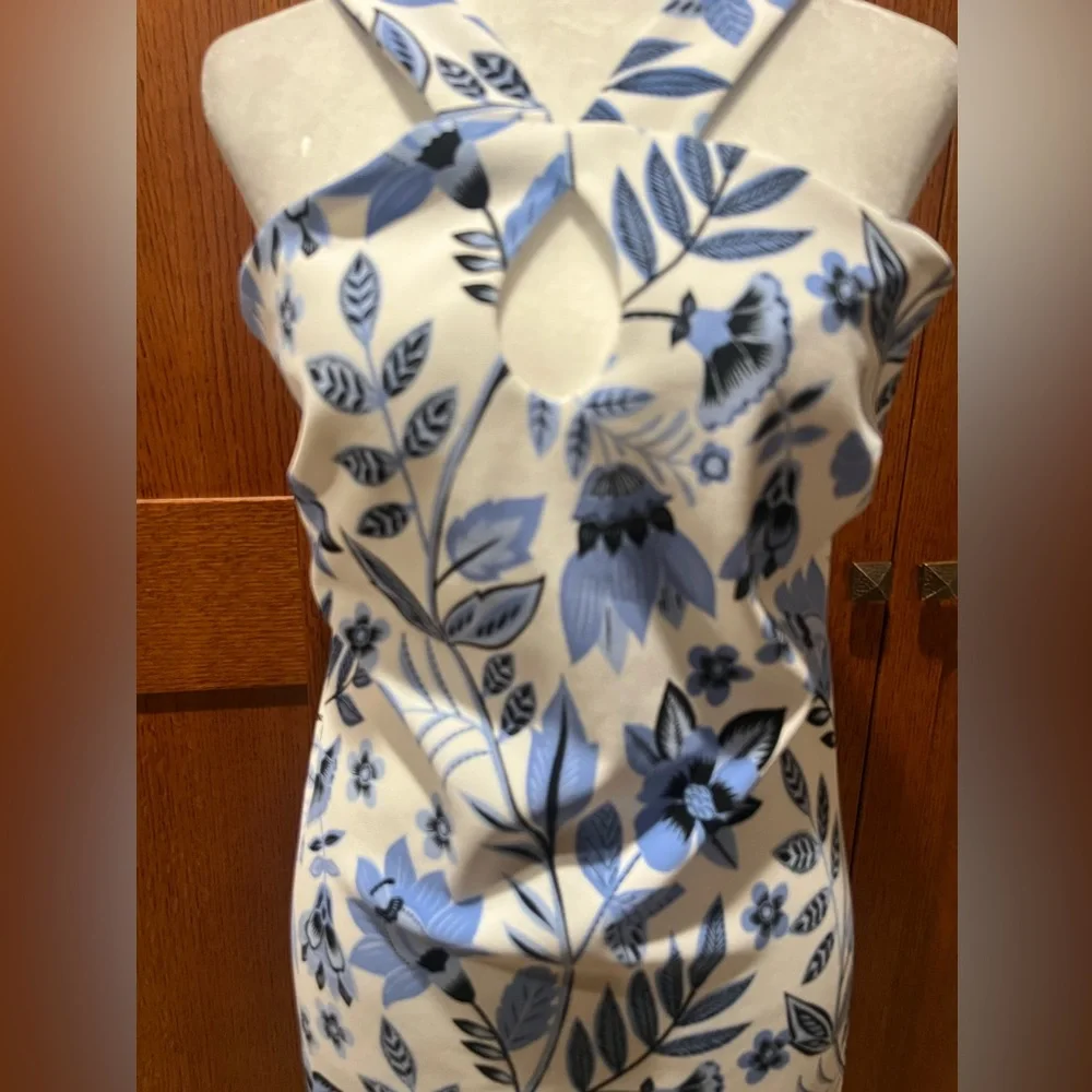 Boston Proper | Dresses | Boston Proper While Blue Floral Toile Tank ...